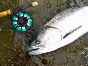 Echo ION Fly Reels: Product Reviews | The Caddis Fly: Oregon Fly ...