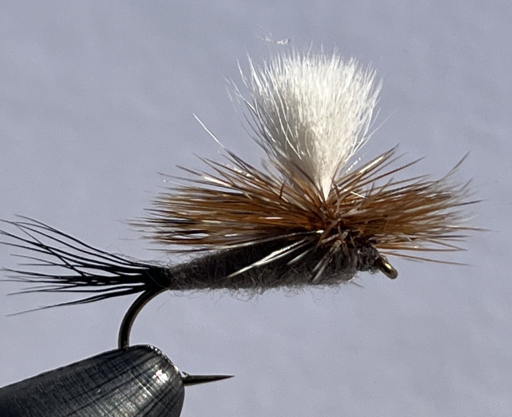 Fly Patterns for Sierra Trout Spring 2022 | The Caddis Fly: Oregon Fly ...