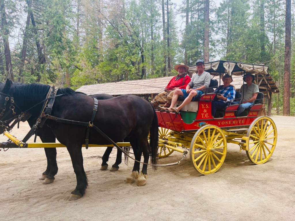The Caddis Fly: Oregon Fly Fishing Blog | McKenzie River fly fishing ...