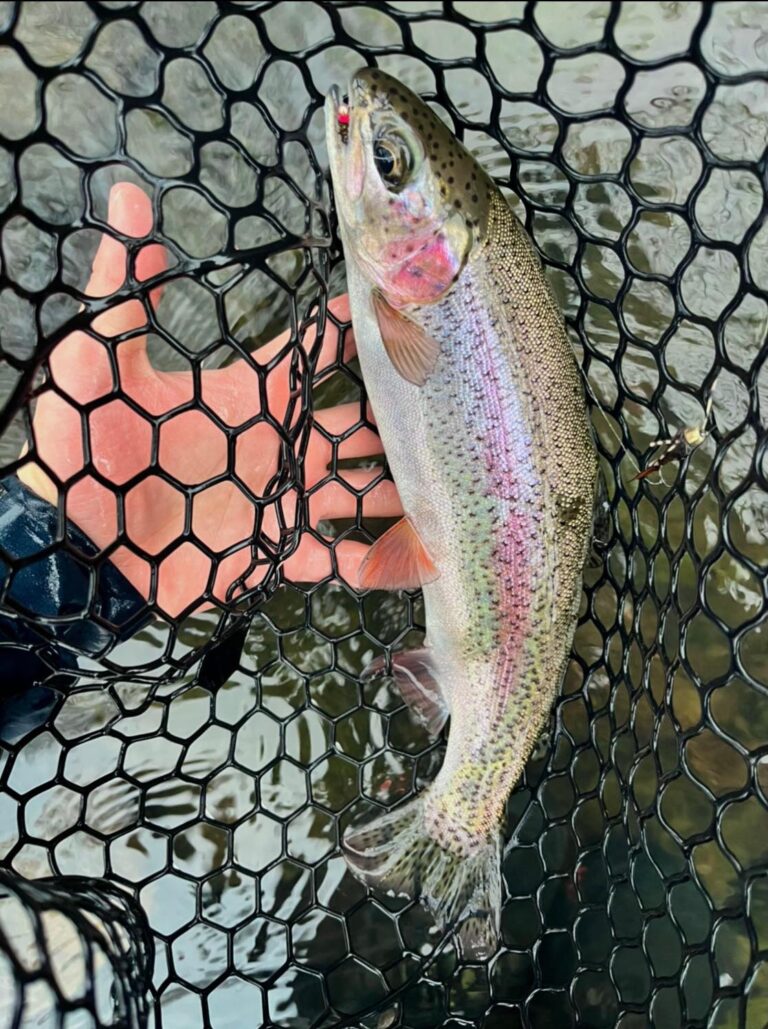 The Caddis Fly: Oregon Fly Fishing Blog | McKenzie River fly fishing ...