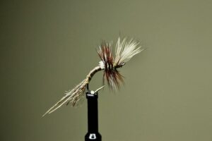 The Caddis Fly: Oregon Fly Fishing Blog | McKenzie River fly fishing ...