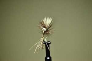 The Caddis Fly: Oregon Fly Fishing Blog | McKenzie River fly fishing ...