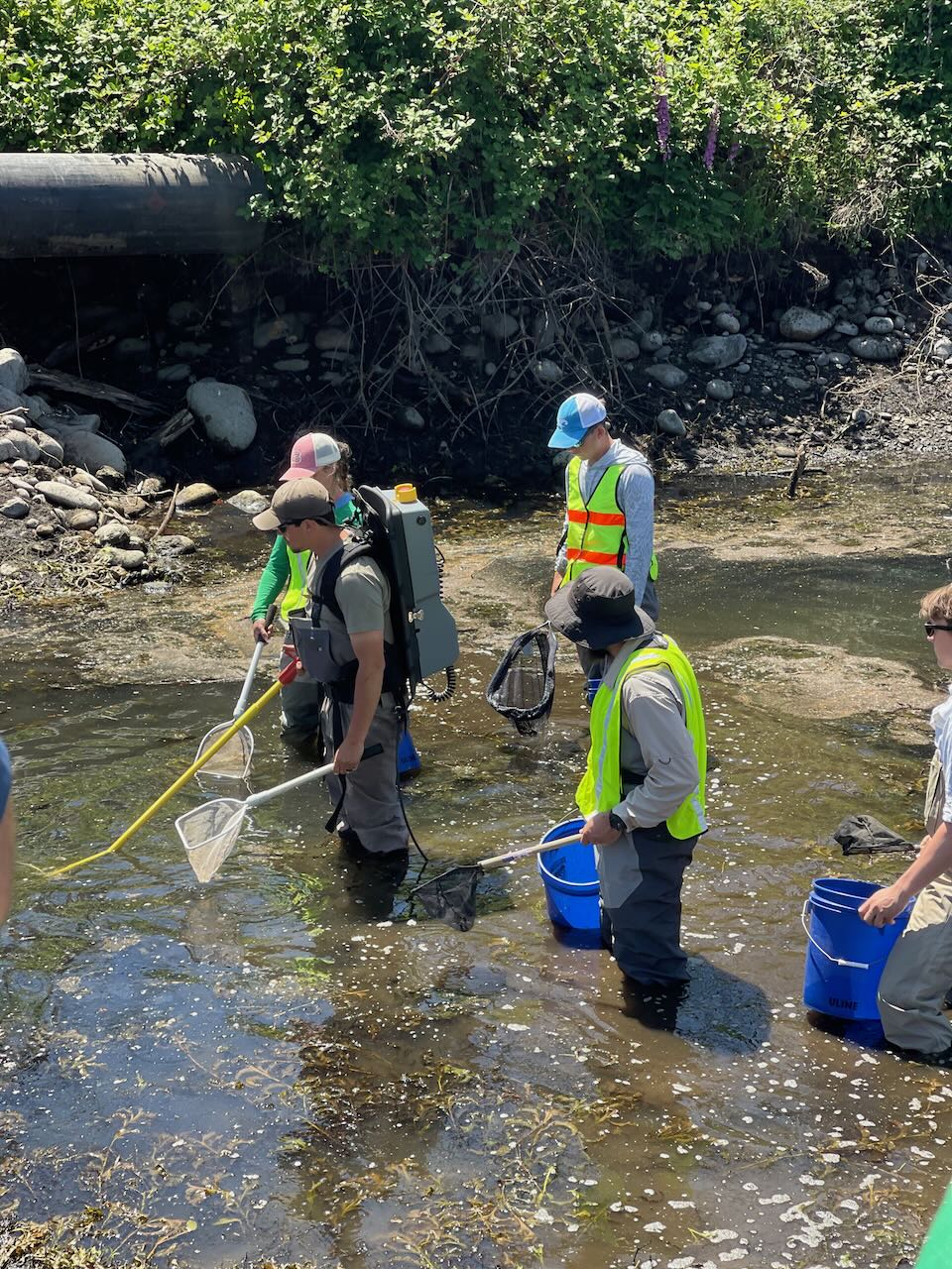 The Caddis Fly: Oregon Fly Fishing Blog | McKenzie River fly fishing ...