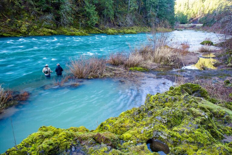 The Caddis Fly: Oregon Fly Fishing Blog | McKenzie River fly fishing ...