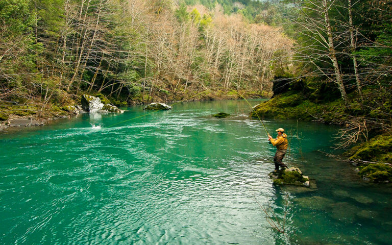 The Caddis Fly: Oregon Fly Fishing Blog | McKenzie River fly fishing ...