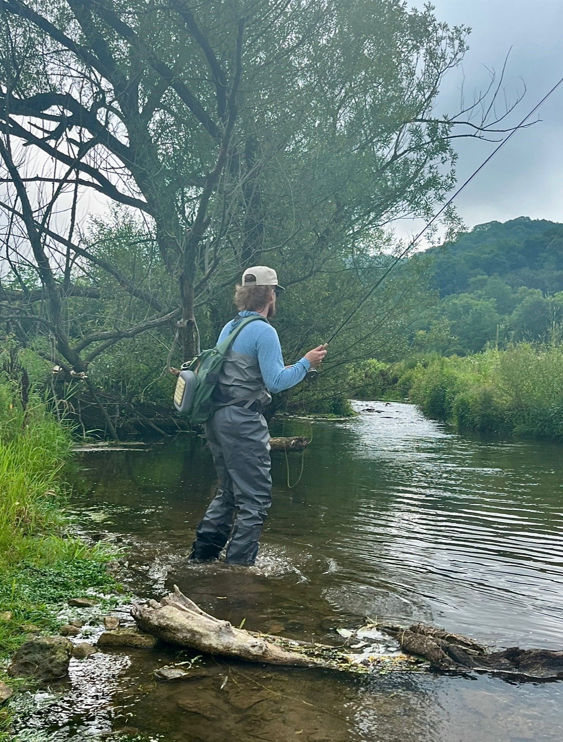 The Caddis Fly: Oregon Fly Fishing Blog | McKenzie River fly fishing ...