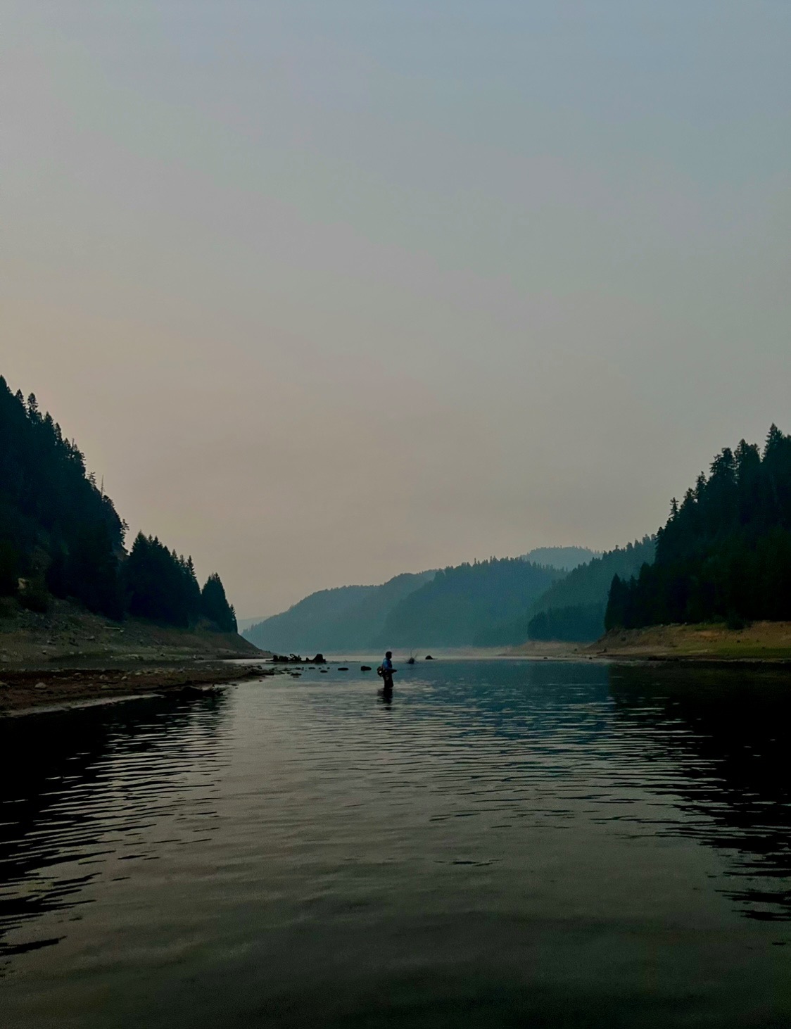 The Caddis Fly: Oregon Fly Fishing Blog | McKenzie River fly fishing ...