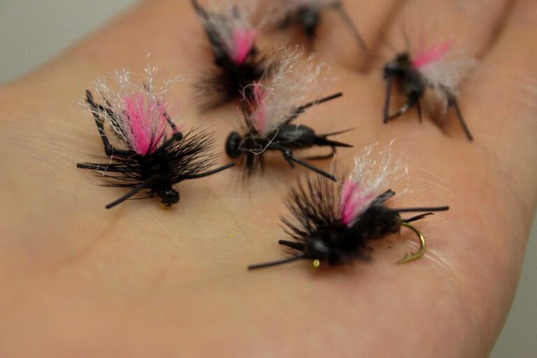 The Caddis Fly: Oregon Fly Fishing Blog | McKenzie River fly fishing ...