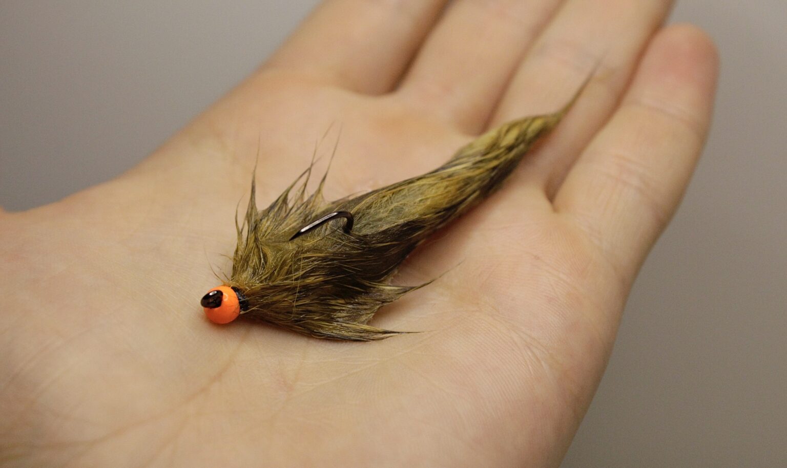 The Caddis Fly: Oregon Fly Fishing Blog | McKenzie River fly fishing ...