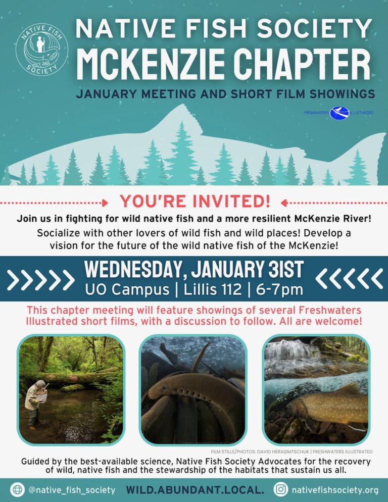 The Caddis Fly: Oregon Fly Fishing Blog | McKenzie River fly fishing ...