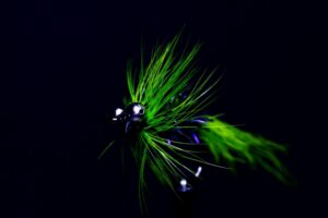 The Caddis Fly: Oregon Fly Fishing Blog | McKenzie River fly fishing ...