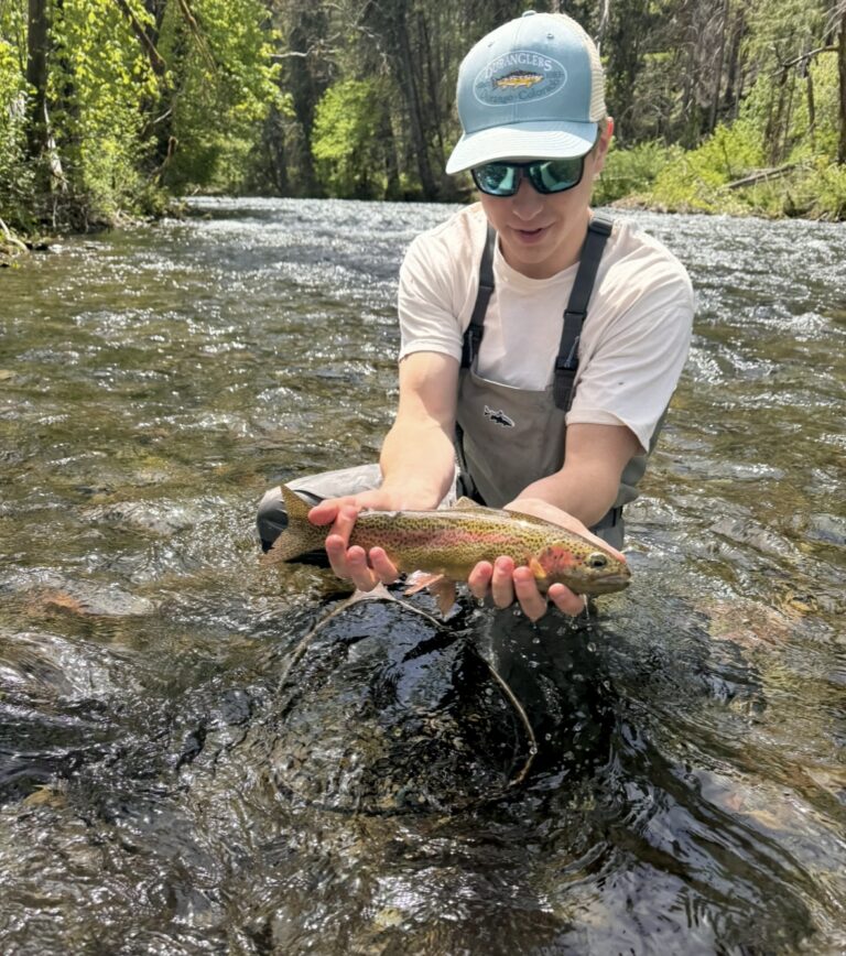 The Caddis Fly: Oregon Fly Fishing Blog | McKenzie River fly fishing ...