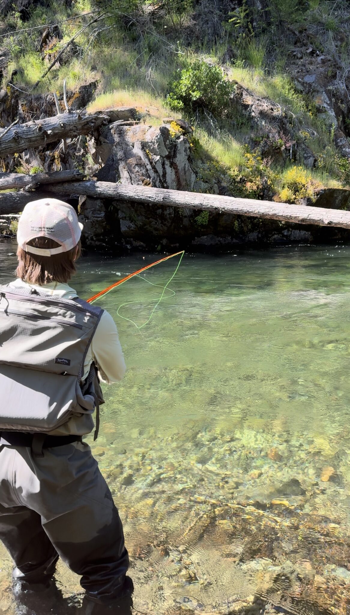 The Caddis Fly: Oregon Fly Fishing Blog | McKenzie River fly fishing ...