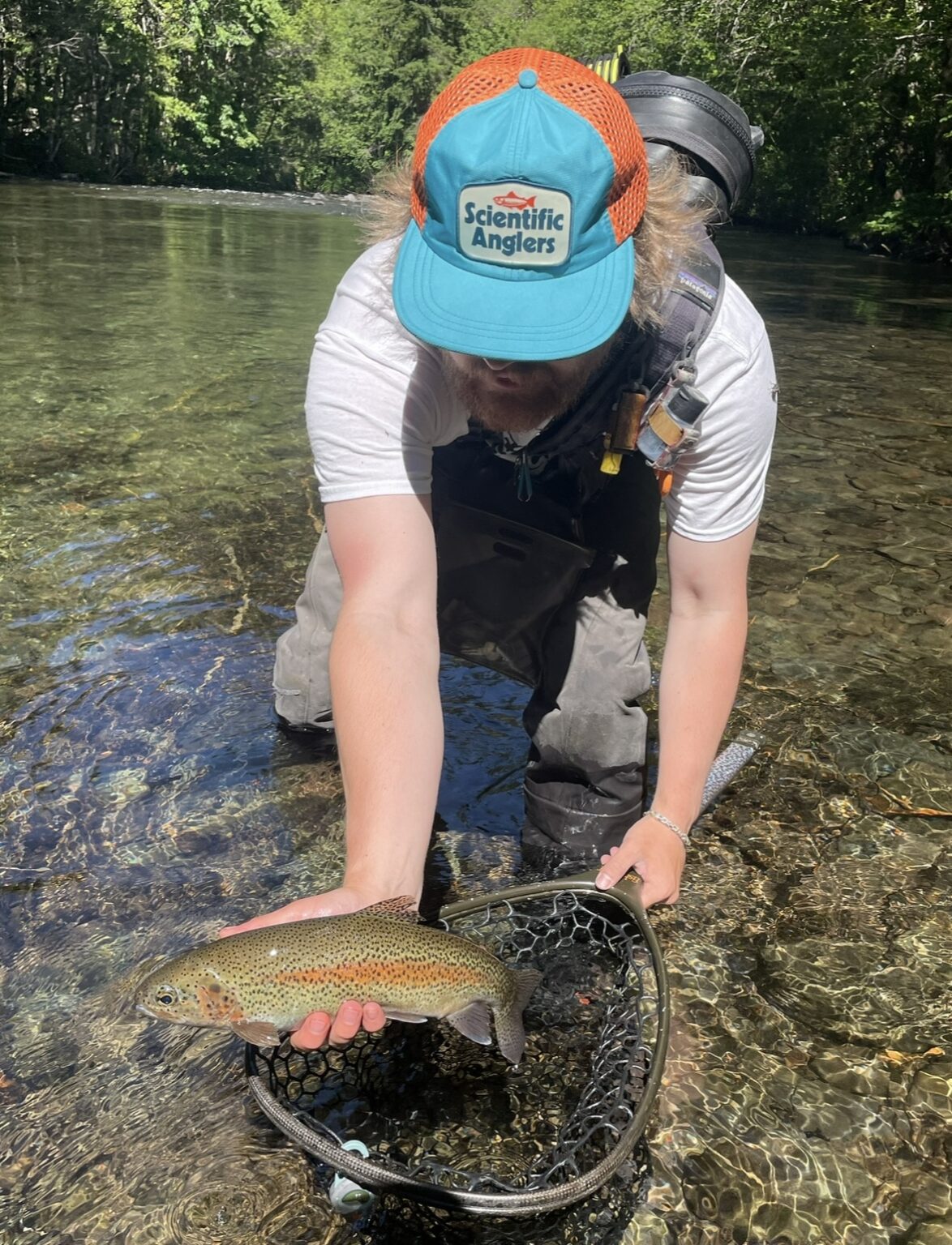 The Caddis Fly: Oregon Fly Fishing Blog | McKenzie River fly fishing ...
